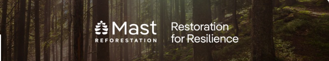 Mast Reforestation Jobs and Company Culture | Powderkeg